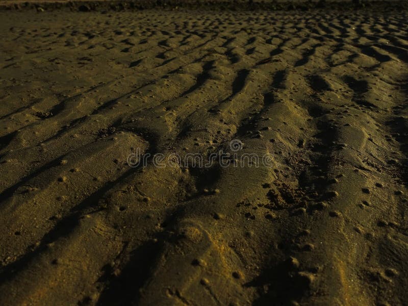 Natural Sea Bottom Patterns Created at the Beach Exposed on Low Tide ...
