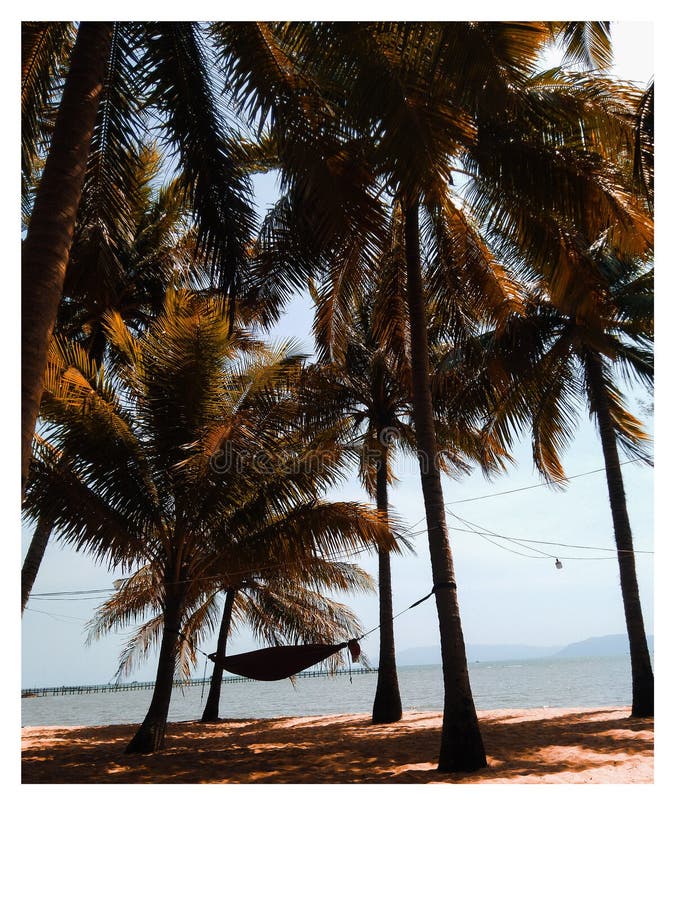 Natural Sea life stock image. Image of natural, life - 171901781