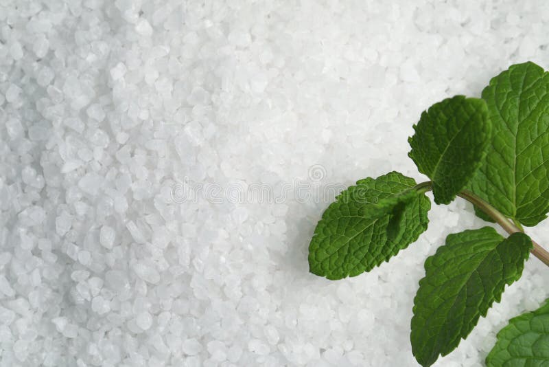 Natural Sea Salt and Mint As Background, Top View Stock Photo - Image ...
