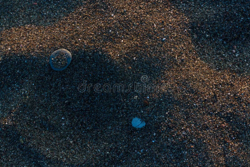 Natural Sea Sand in Sunset Lights Stock Image - Image of sandy, texture ...