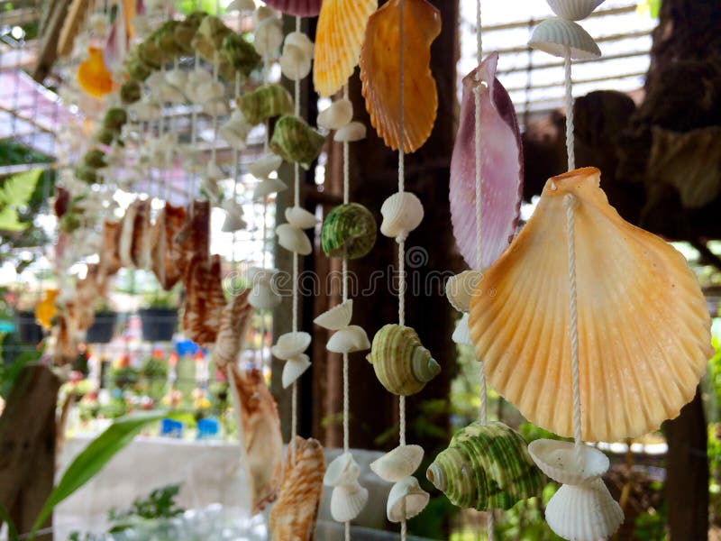 Natural Sea Shell Mobile Hanging in the Shop Stock Photo - Image of ...