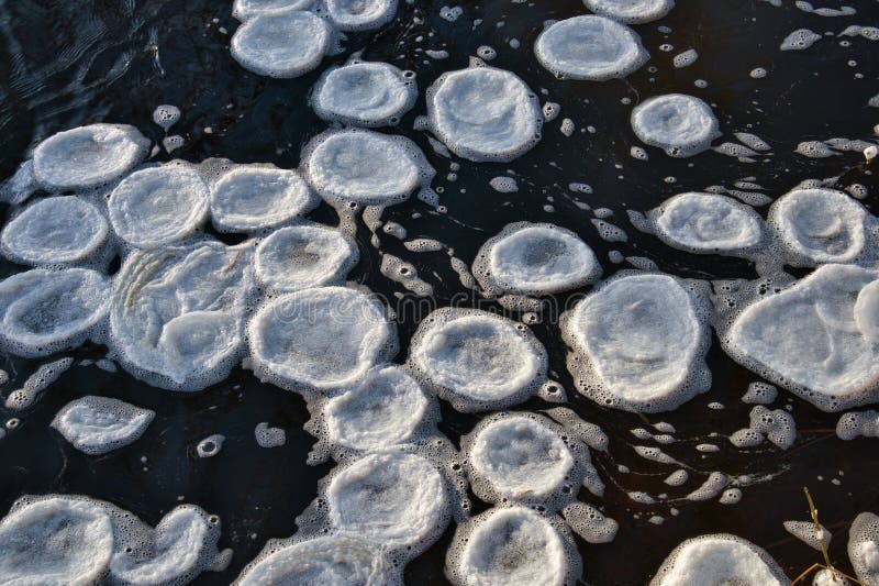 Frozen Discs Stock Photos - Free & Royalty-Free Stock Photos from ...