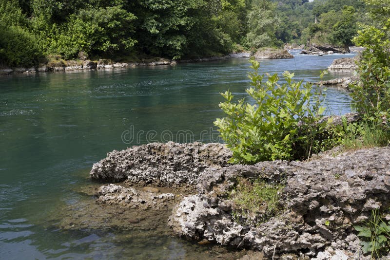 Natural Setting on the Banks Stock Photo - Image of natural, sunny ...