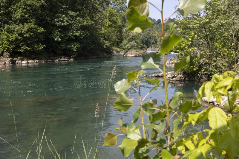 Natural Setting on the Banks Stock Image - Image of sunny, landscape ...