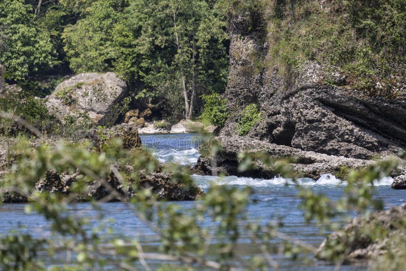 Natural Setting on the Banks Stock Image - Image of natural, sunny ...