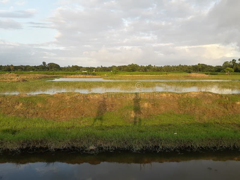 Natural Shadow on Natures Lap Stock Photo - Image of natural, love ...