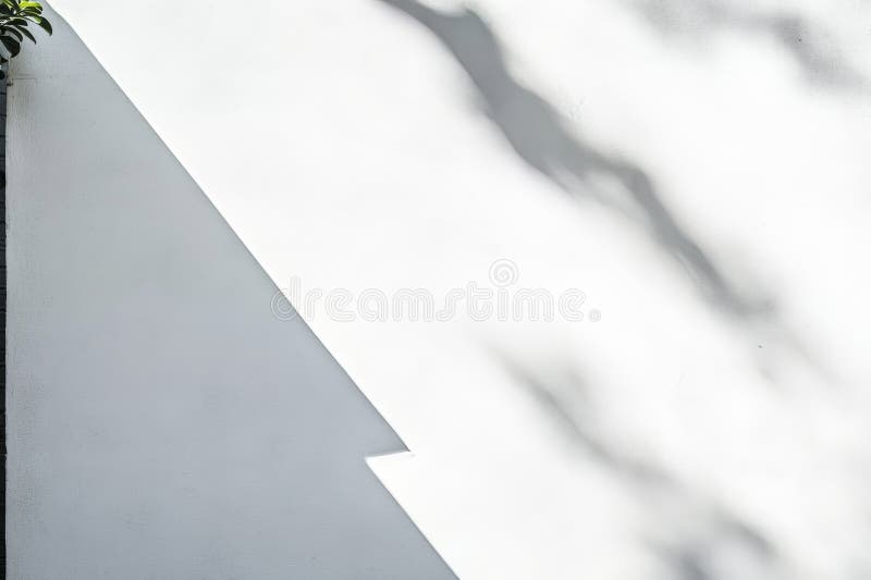 A Natural Shadow Overlay on a White, Textured Wall. Stock Photo - Image ...