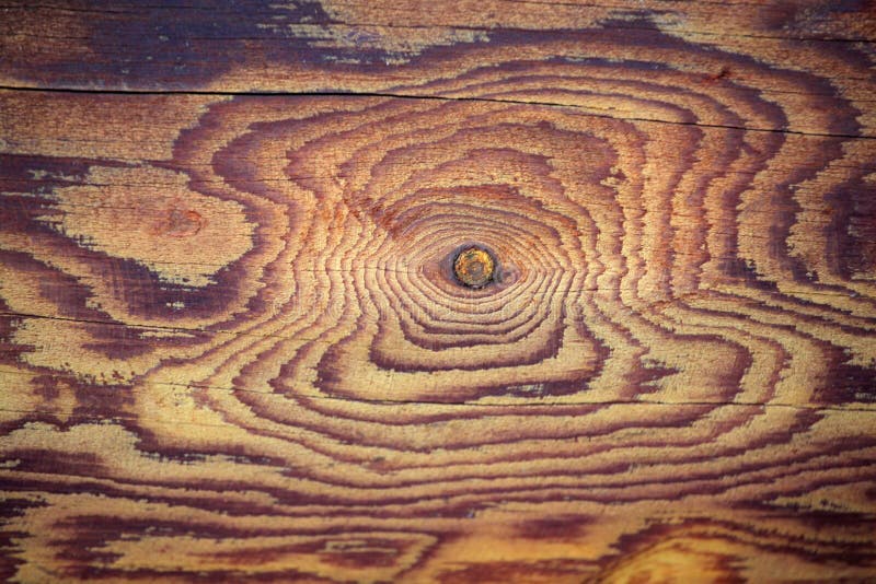 Natural Sharp Wooden Stub Background Stock Photo - Image of structure ...