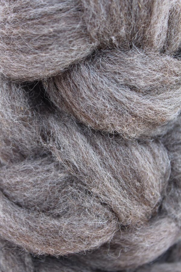 Natural sheep wool stock photo. Image of fiber, california - 85656788