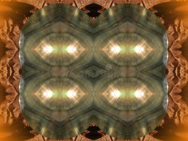 Natural Sea Shell on Orange Colour Background Wallpaper Image, Abstract ...