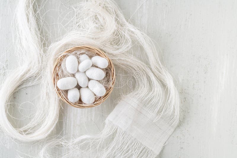 Natural Silkworm Cocoons Shells are Source of Silk Thread Stock Photo ...