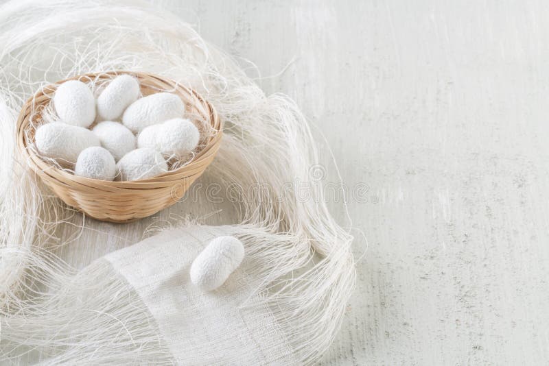 Natural Silkworm Cocoons are Source of Silk Thread, Textile Stock Photo ...