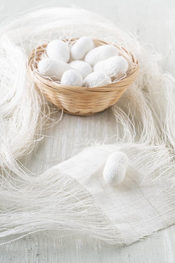 1,239 Cocoon Silkworm Silk Production Stock Photos - Free & Royalty ...