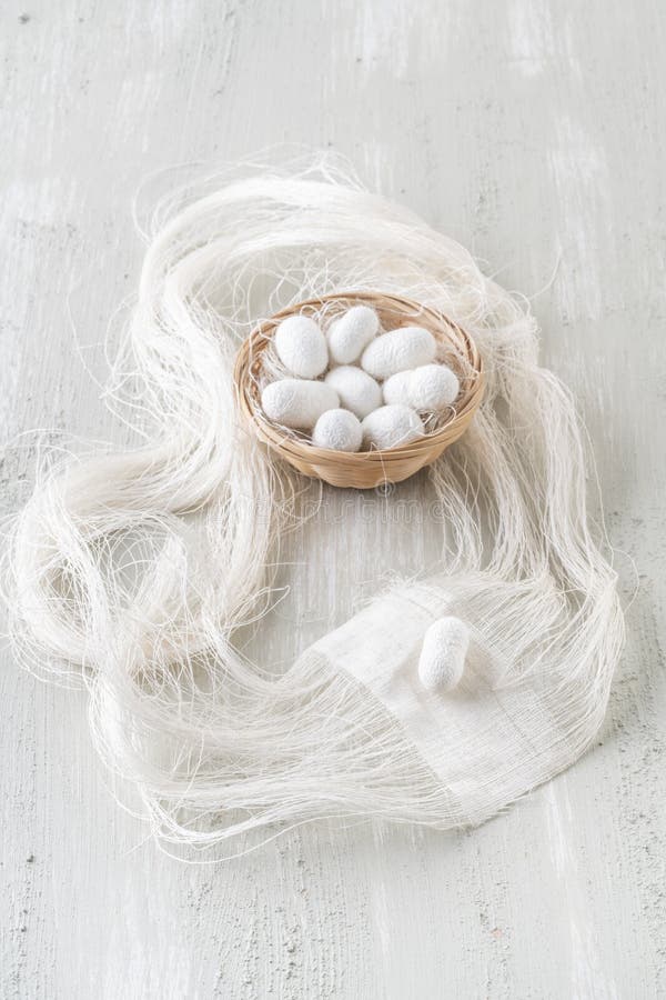 Natural Silkworm Cocoons are Source of Silk Thread, Textile Stock Image ...