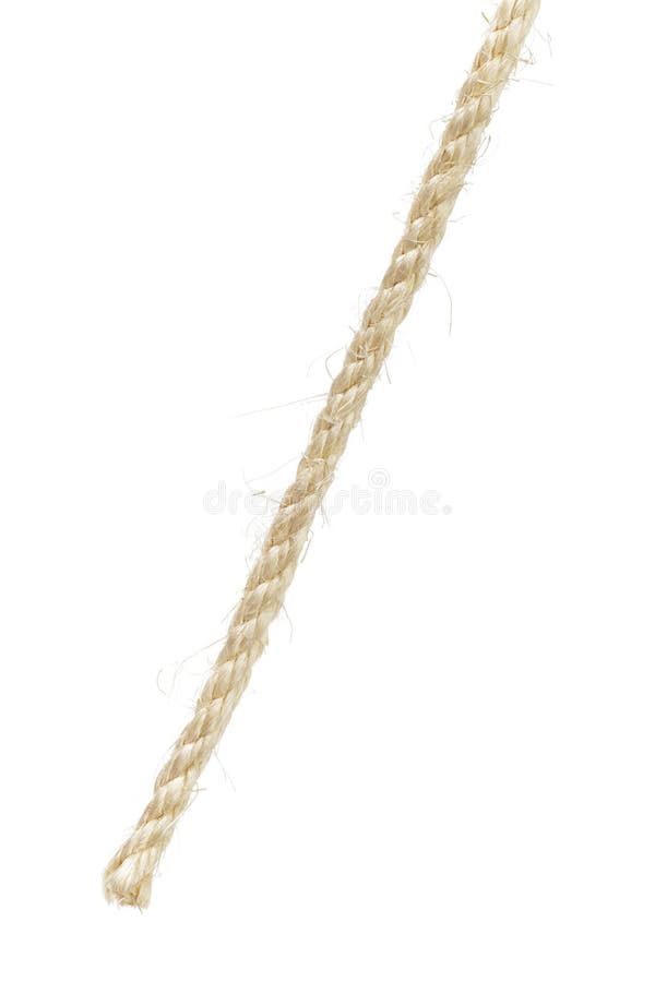 Rope on white stock image. Image of thick, natural, cable - 12825461