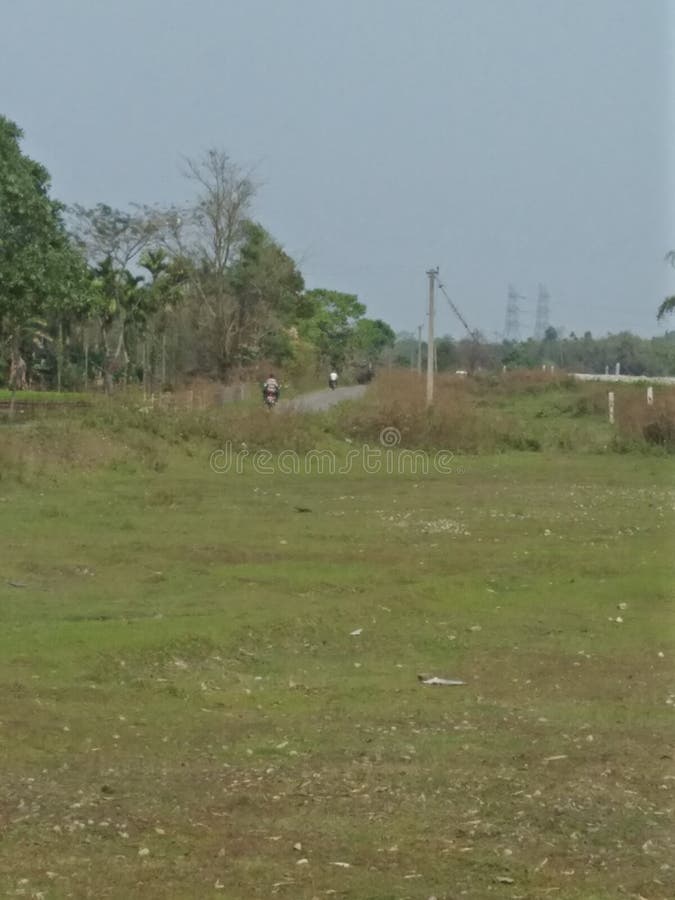 A Natural Site of a Rural Aria of Assam ,India Stock Photo - Image of ...