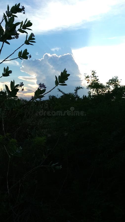 Natural Sky stock photo. Image of natural, morning, click - 120226576