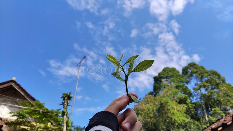 Sky view stock image. Image of nature, view, natural - 221879813