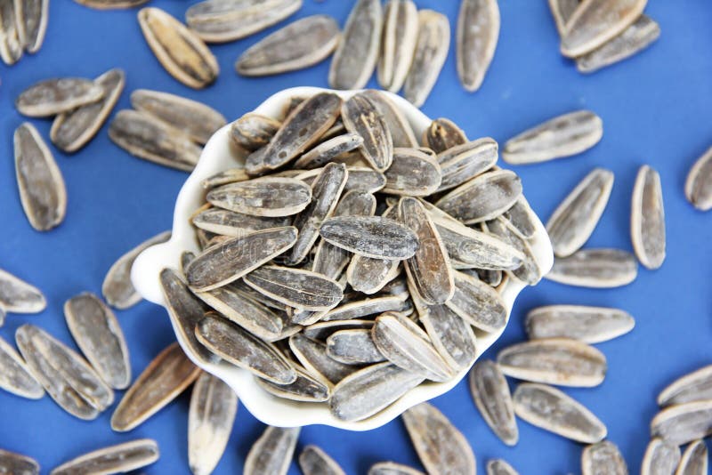 Natural Small Sunflower Seeds in a White Plate on a Blue Background ...