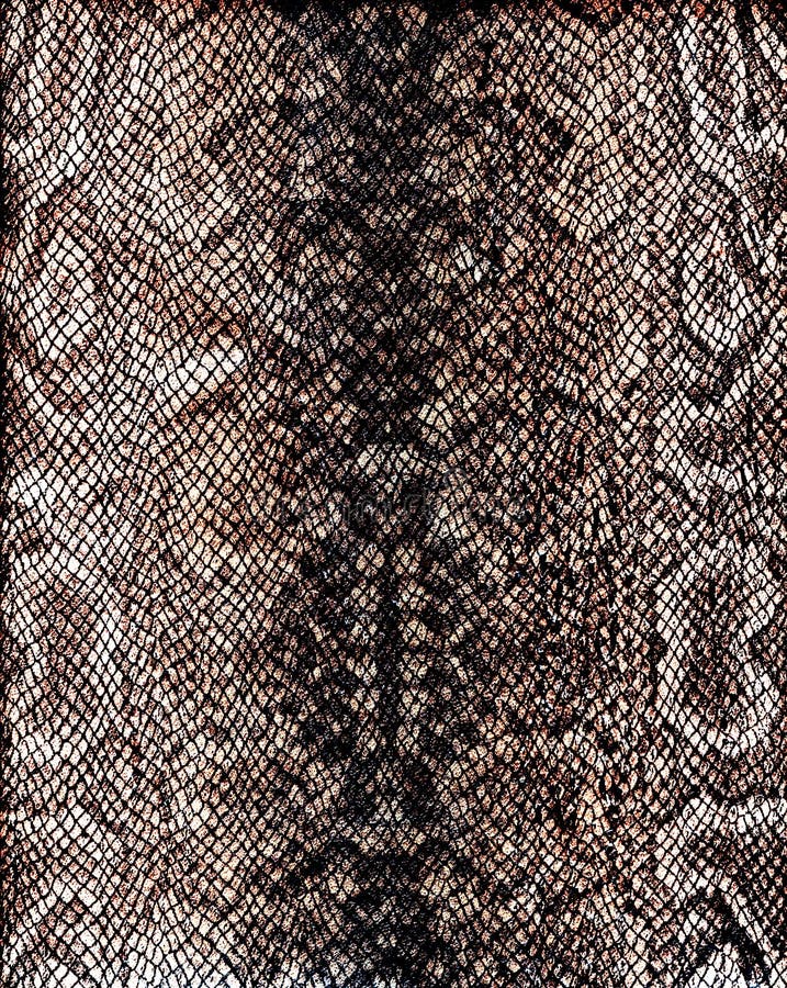 Snake Leather Background Texture Stock Photo - Image of animal ...