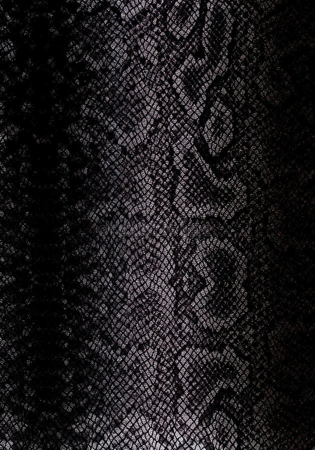Snake Leather Background Texture Stock Photo - Image of backdrop, black ...