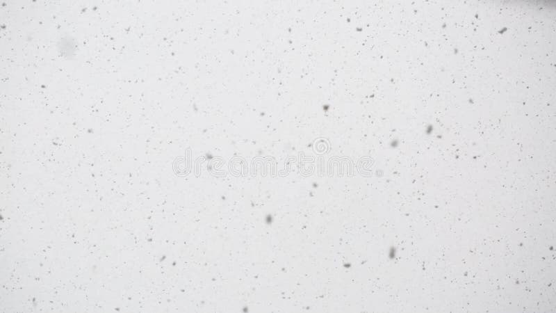 Natural Snow Falling Isolated on White Background Stock Footage - Video ...