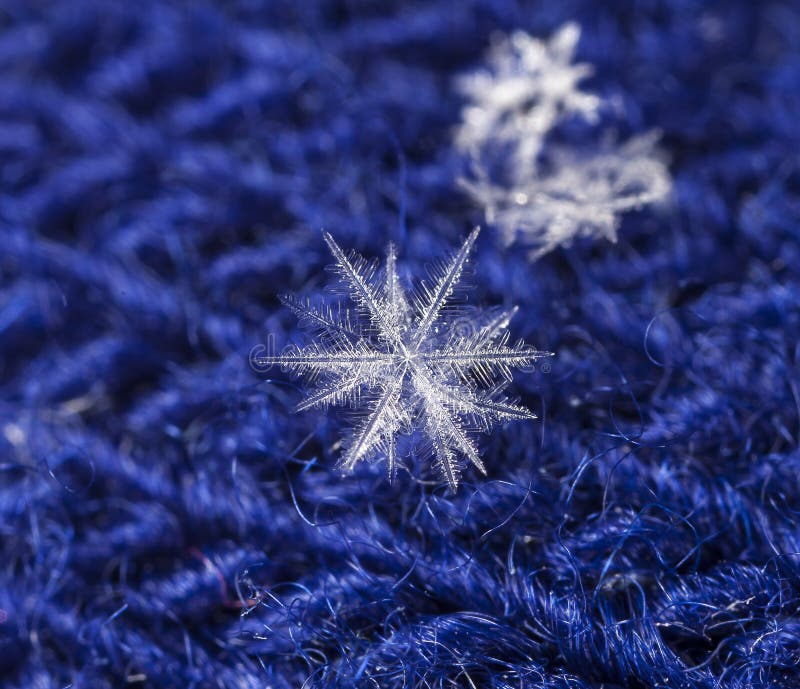 Natural snowflakes on fur stock photo. Image of beautiful - 75569838