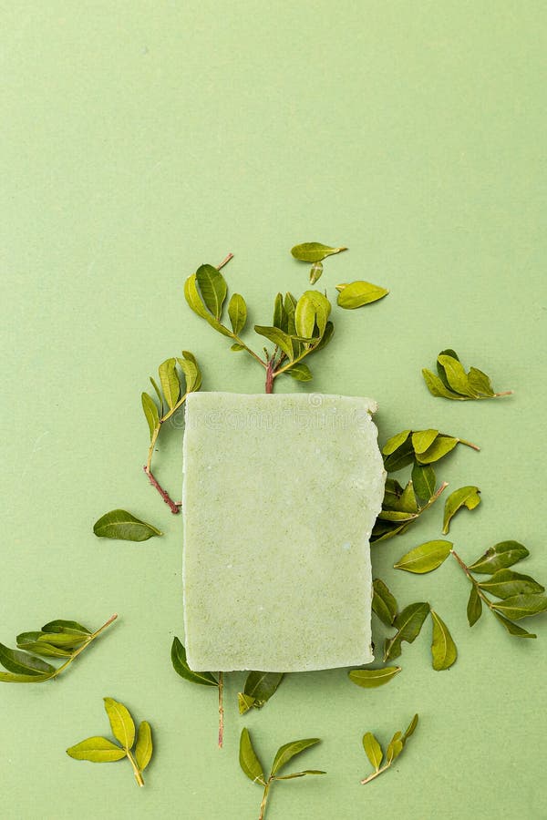 Natural Soap of Green Color with Eucalyptus Leaves on a Green ...