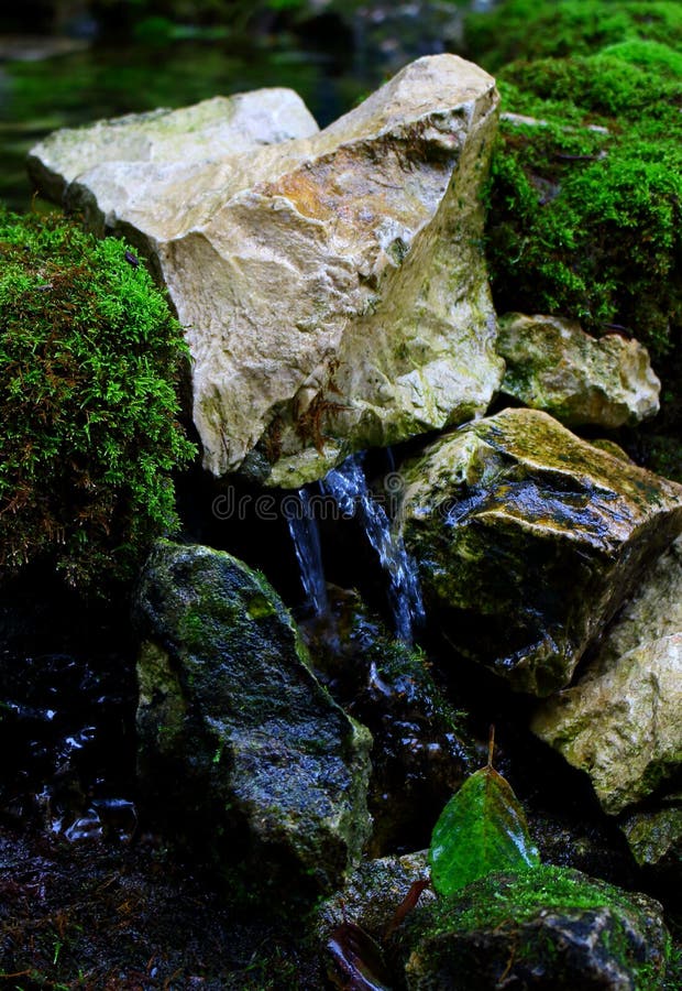 Forest creek on the rocks stock image. Image of cascade - 122412737