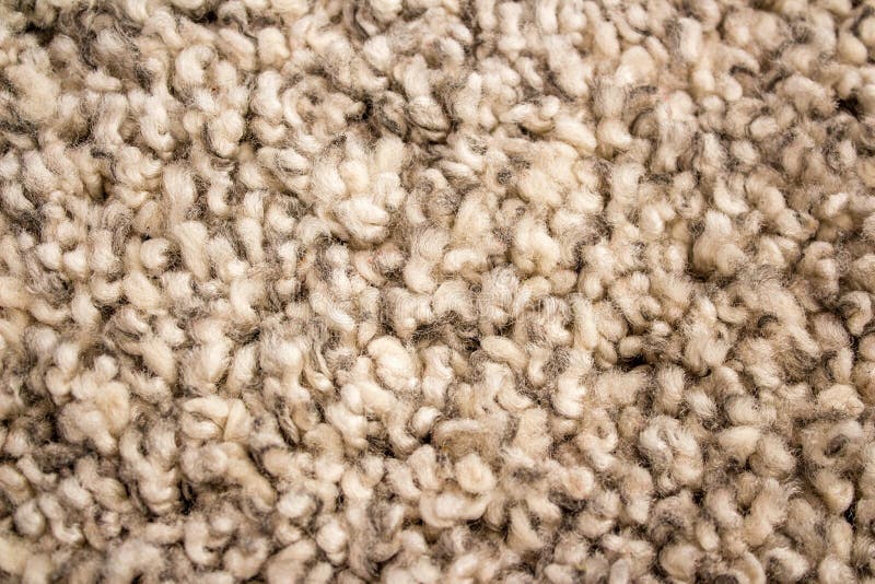 Natural Soft Wool Texture Background Stock Image - Image of mammal ...