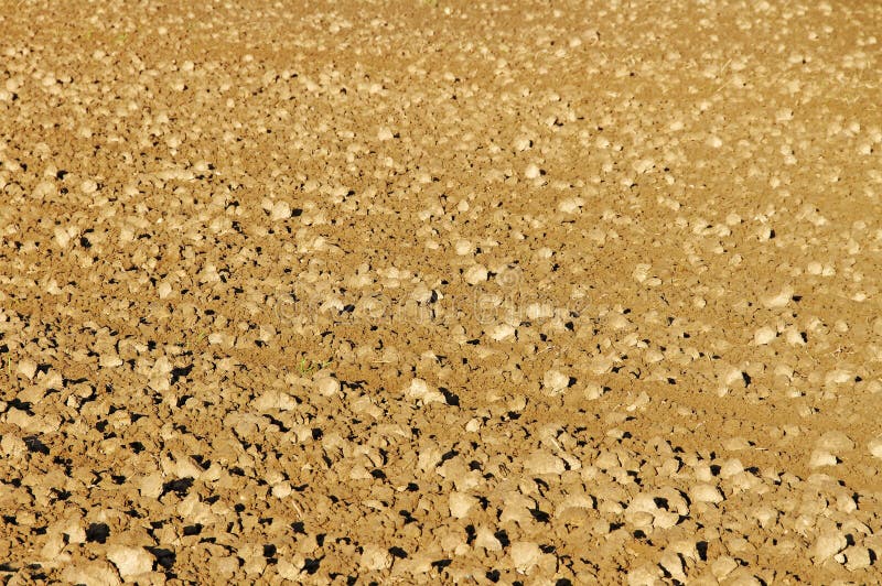 Natural soil. stock photo. Image of outdoor, morning - 23214636