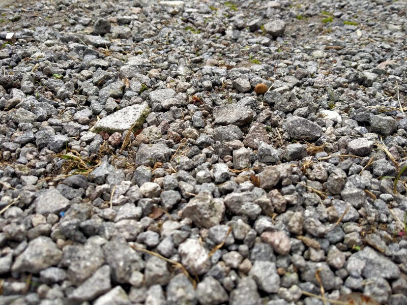 Natural Soil Texture with Organic Matter Stock Image - Image of texture ...