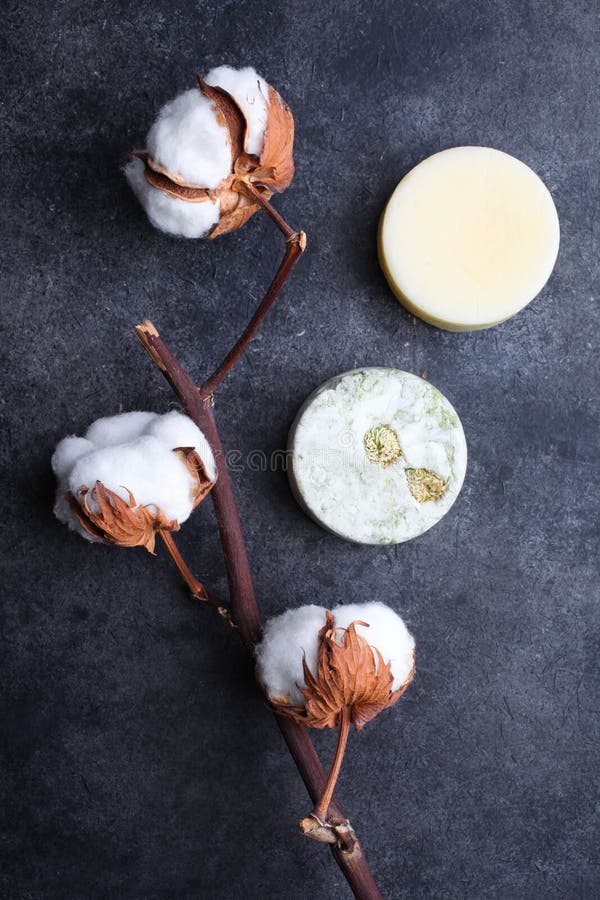 Natural Solid Shampoo and Hair Conditioner Stock Photo - Image of ...