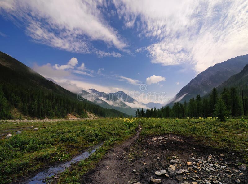 Natural solonetz stock photo. Image of asia, larch, siberia - 26995214