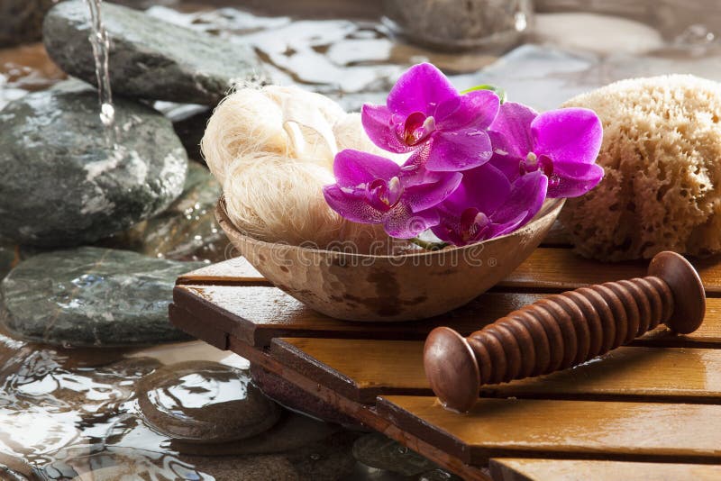 Natural Source of Beauty and Massage Stock Image - Image of loofah ...
