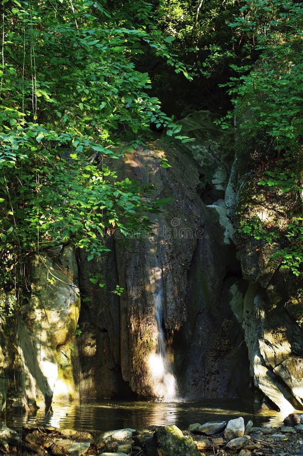 Natural Source in Corsica Forest Stock Image - Image of source ...