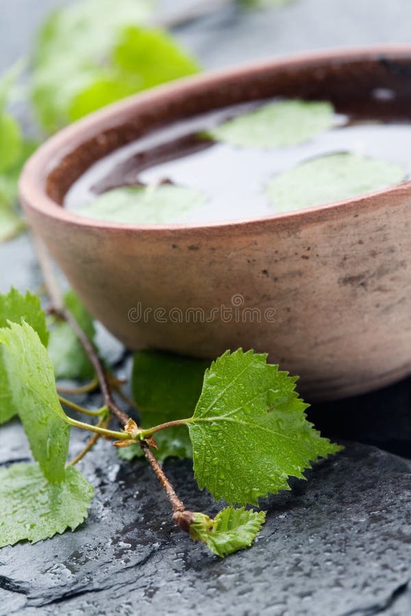 Natural spa stock image. Image of water, relaxation, scent - 5114023