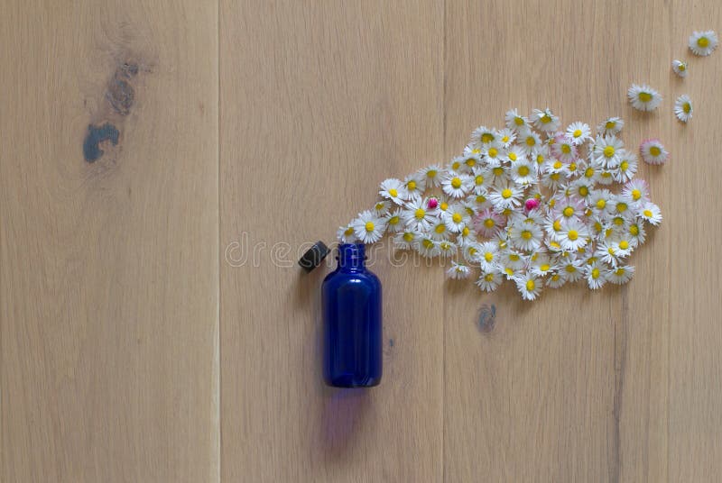 Natural Splash Of Daisy Flowers Encapsulated In Essential Oil Bottle