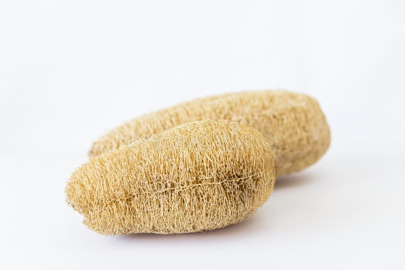 Dry Luffa Fruit and Sponge on White Background Stock Image - Image of ...