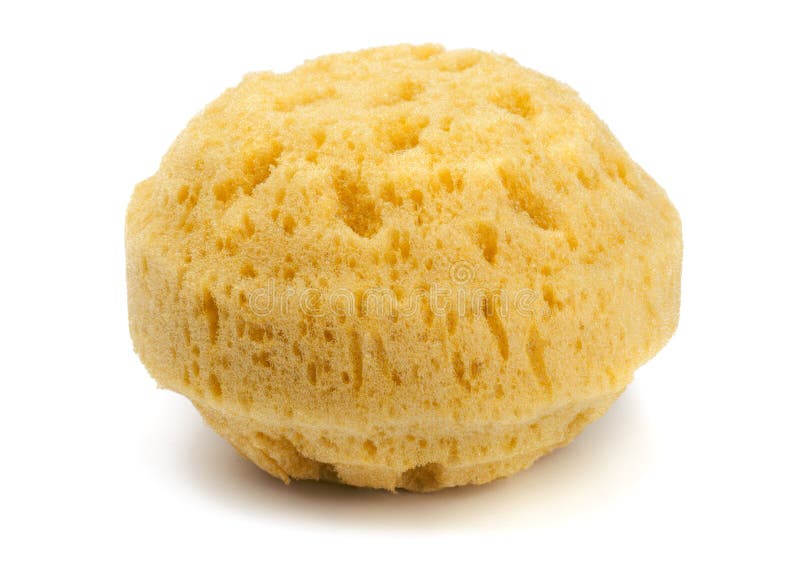 Bath sponge stock photo. Image of accessory, macro, closeup - 18466376