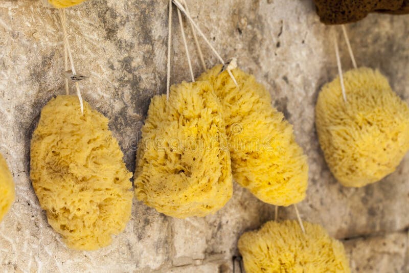 Natural Sponge in Different Shapes on Boat Stall in Greece Stock Image ...