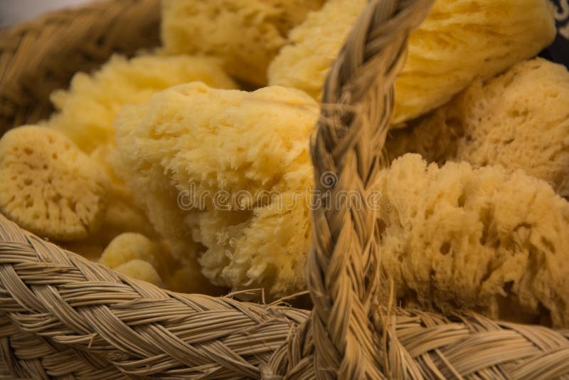 Natural Sponge in Wicker Basket in the Foreground Stock Image - Image ...