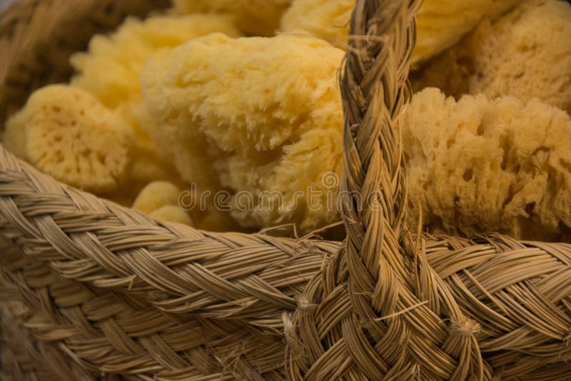 Natural Sponge in Wicker Basket in the Foreground Stock Image - Image ...