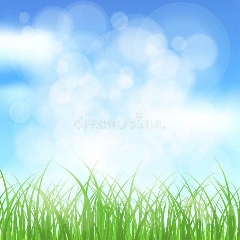 Vector of Spring Background with White Dandelions. Stock Vector ...