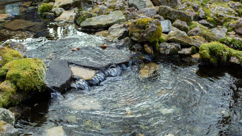 Natural Spring Clear Water, Mountain River Horizontal Stock Photo ...
