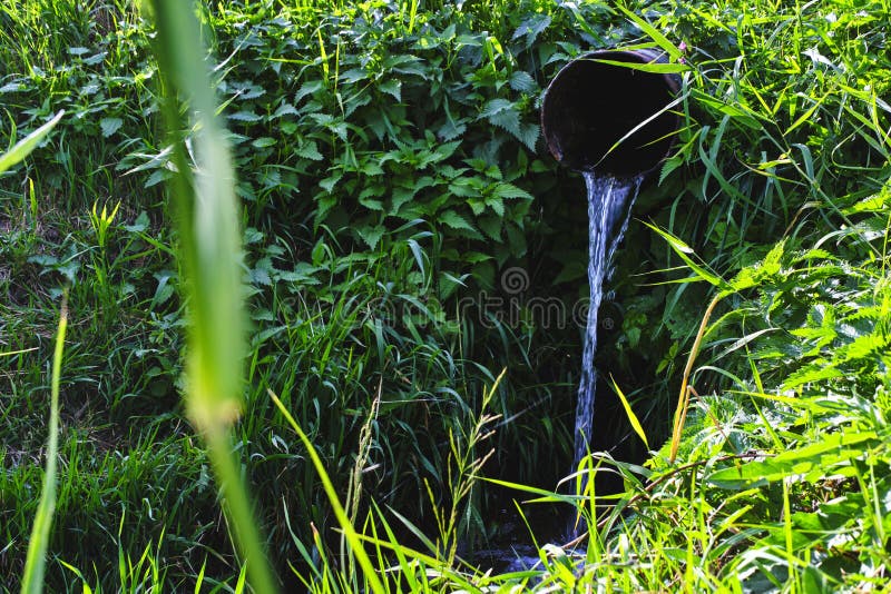 Natural Spring Flows from Pipe through Thicket Nettles Stock Image ...