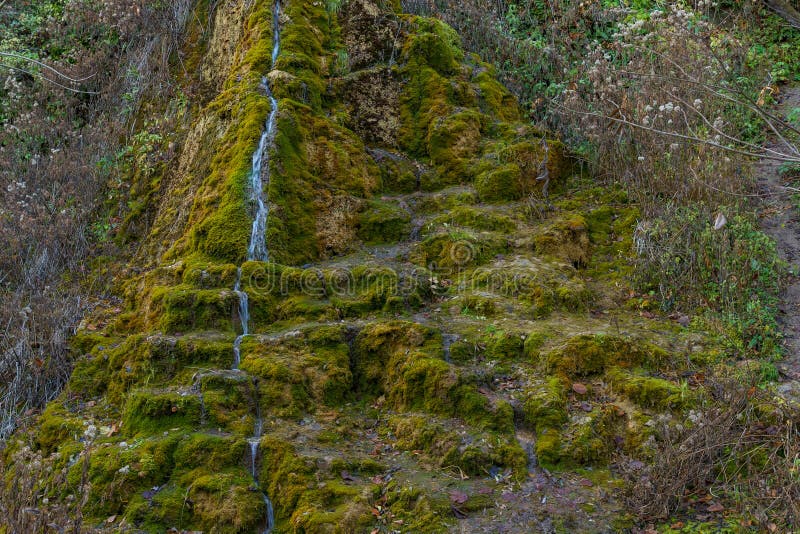 Natural Spring with Mineral Drinking Water in the Wild with Stones ...