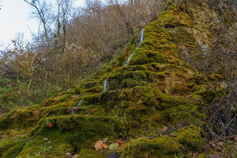 Natural Spring with Mineral Drinking Water in the Wild with Stones ...