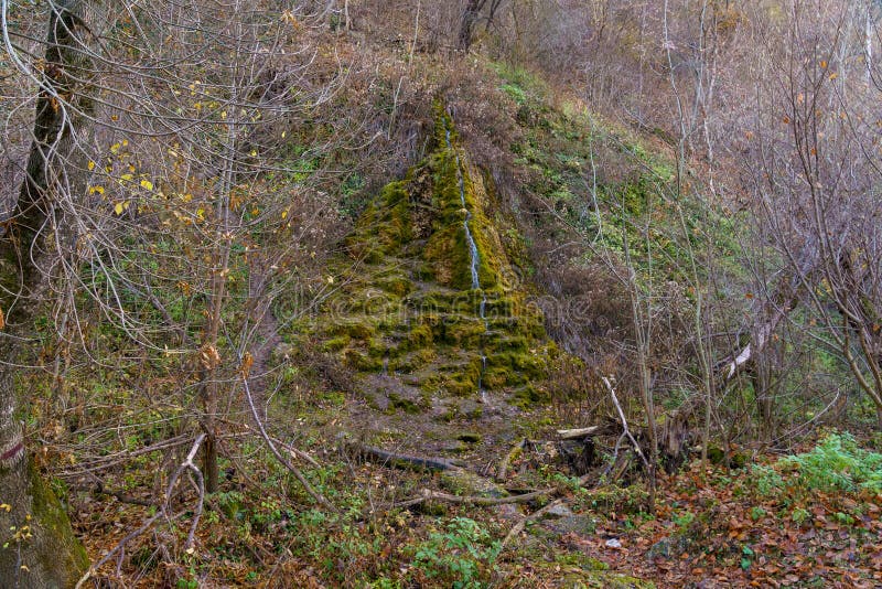 Natural Spring with Mineral Drinking Water in the Wild with Stones ...