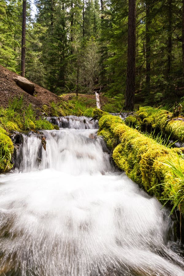 Natural spring water stock image. Image of nature, pristine - 63285045
